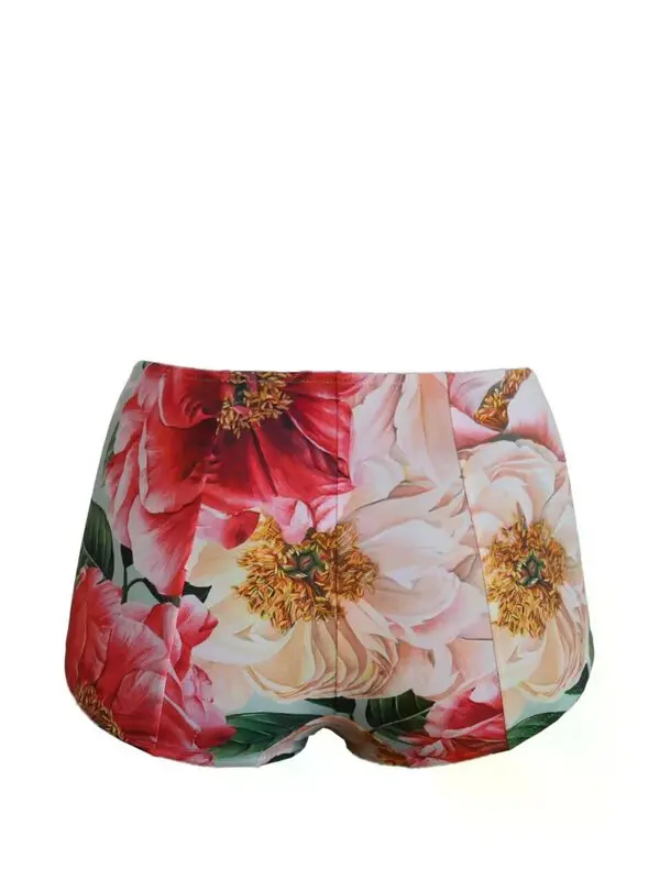 Dolce & Gabbana Floral-print High-waisted Briefs - Pink