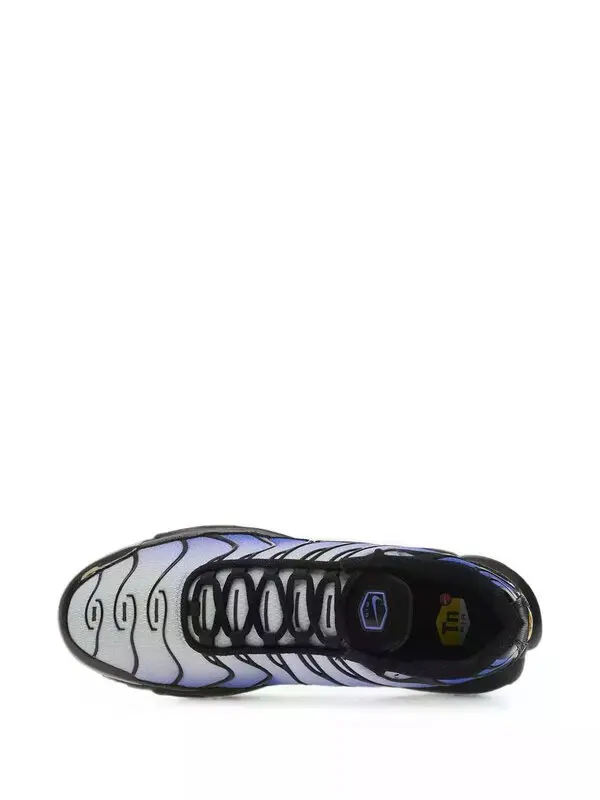 Nike Max Plus Sneakers