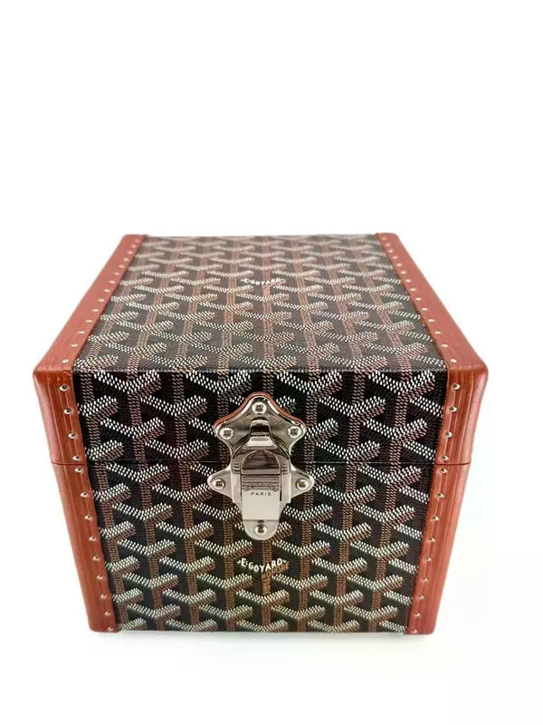 Goyard Clamecy Ine Square Trunk - Brown
