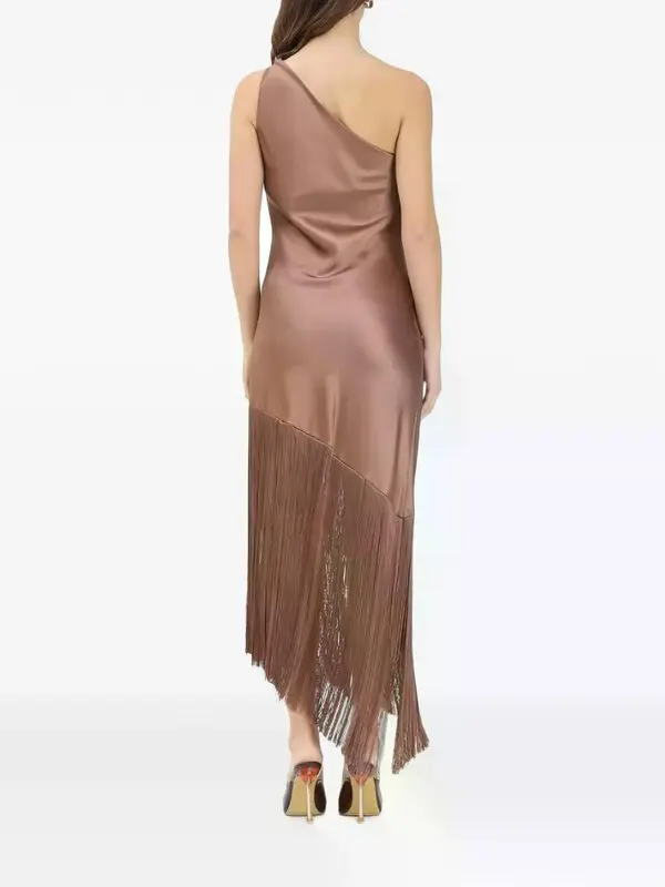 Pinko One-shoulder Fringe Trim Dress - Brown