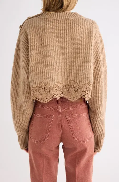 Chloé Ribbed Wool & Cashmere Crop Sweater With Guipure Lace Trim - Bleached Brown