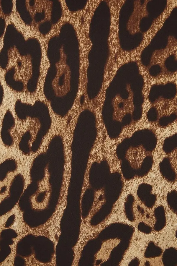 Dolce & Gabbana Leopard Print Dress - Multicolor