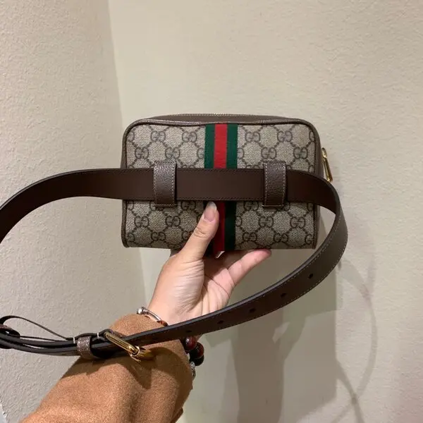 Gucci Ophidia Gg Supreme Small Belt Bag