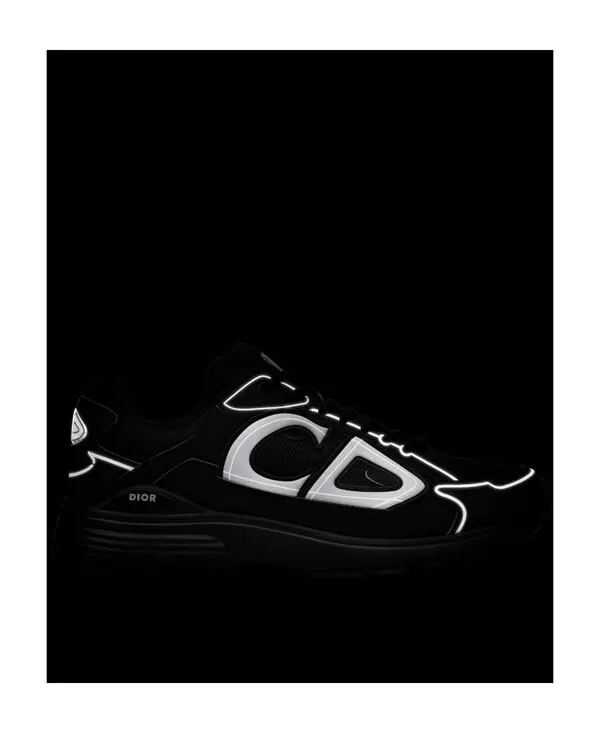 Dior B30 Lace-up Sneakers