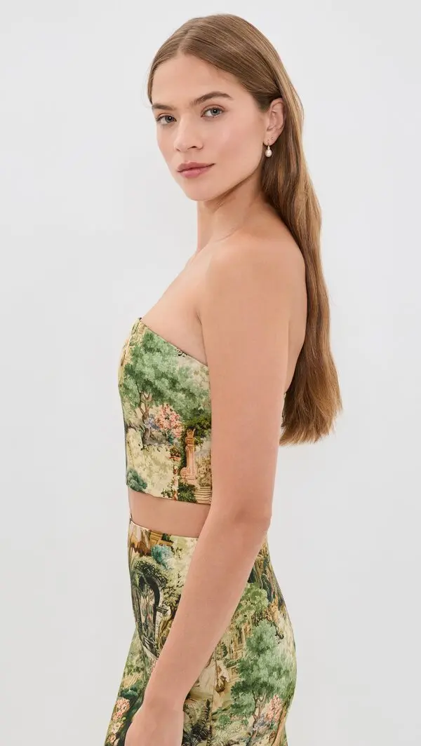 Alice + Olivia Ceresi Smocked Bandeau Top