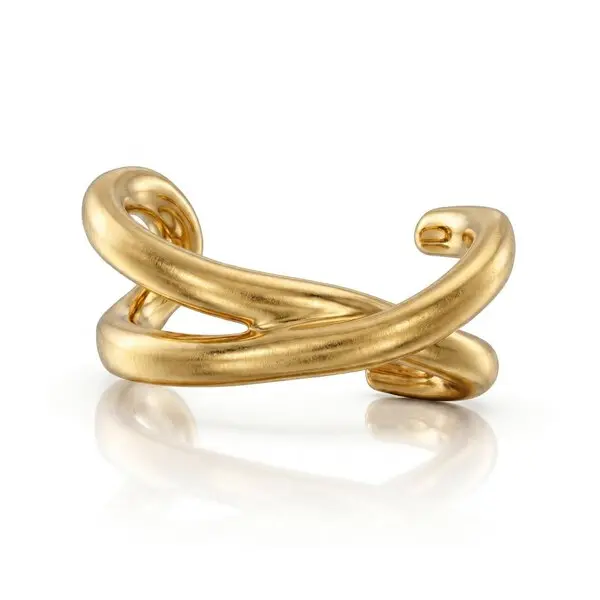 ZAHAV JEWELRY 14k Solid Continuous Ear Cuff