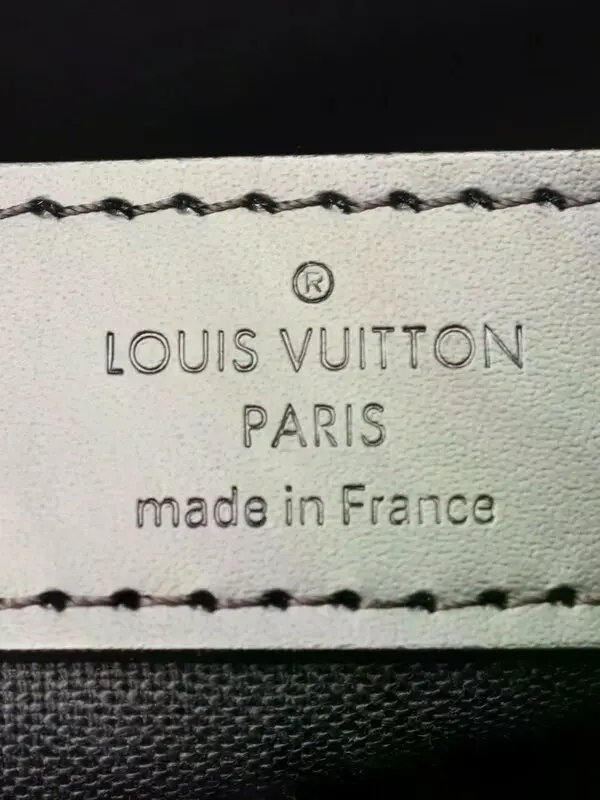 LOUIS VUITTON Tadao Two-way Handbag