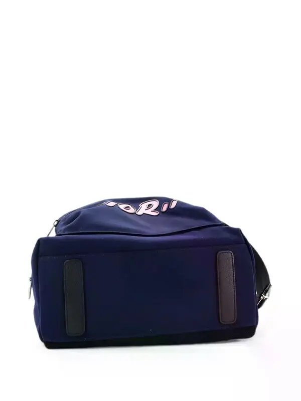 Dior Kaws Bee Rider Nylon Backpack