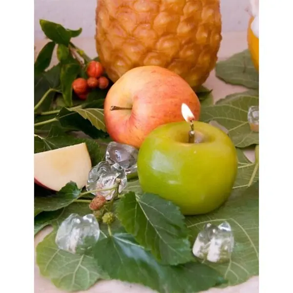 INTRONA Apple Candle 140g