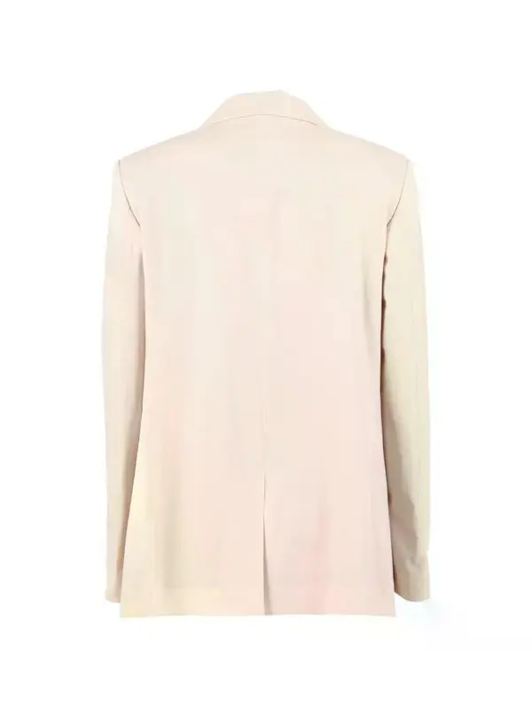 Fabiana Filippi Embellished Sleeve Blazer