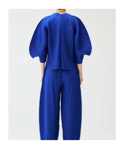 Issey Miyake Coast Pleated Top