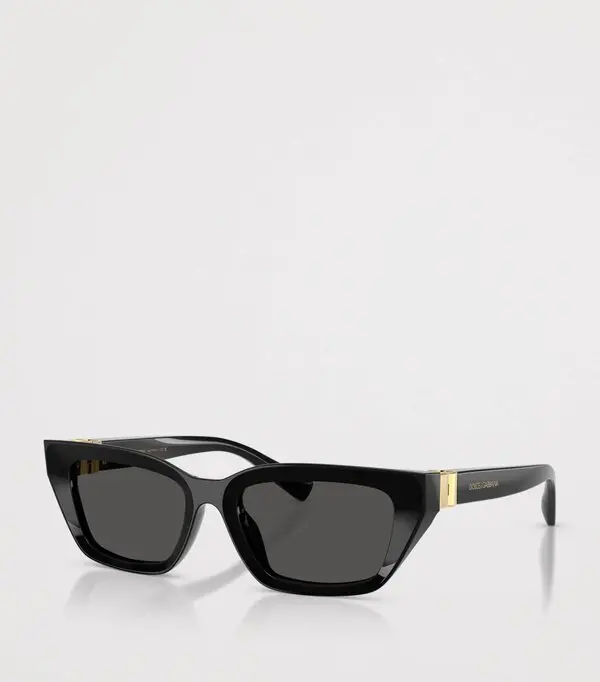 Dolce & Gabbana Acetate Cat Eye Sunglasses