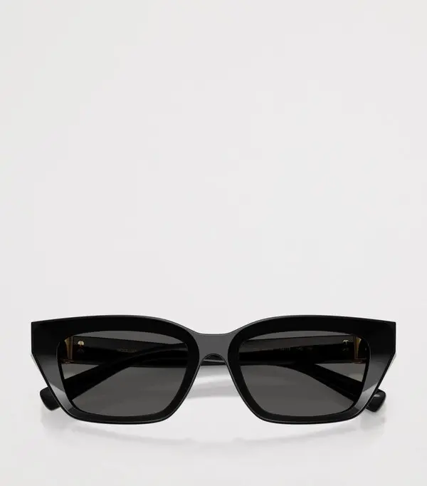 Dolce & Gabbana Acetate Cat Eye Sunglasses