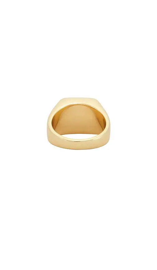 LUV AJ The Seychelles Signet Ring In Metallic