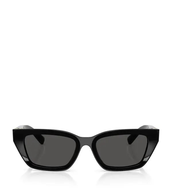 Dolce & Gabbana Acetate Cat Eye Sunglasses - Black