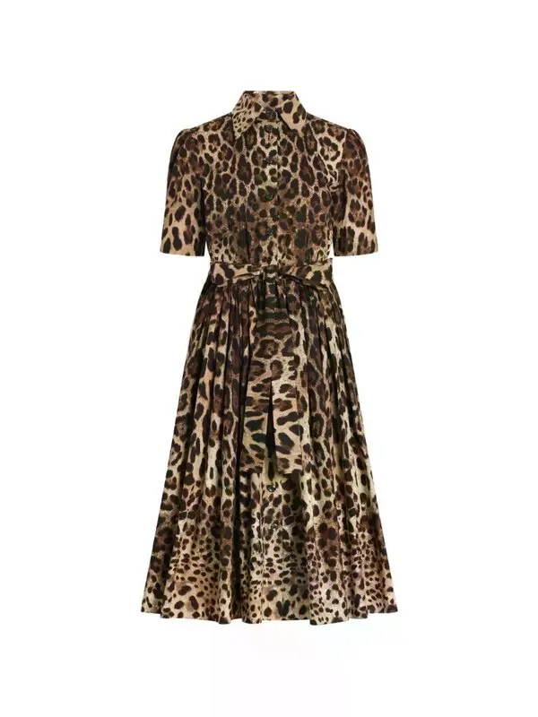 Dolce & Gabbana Leo-print Poplin Shirt Dress