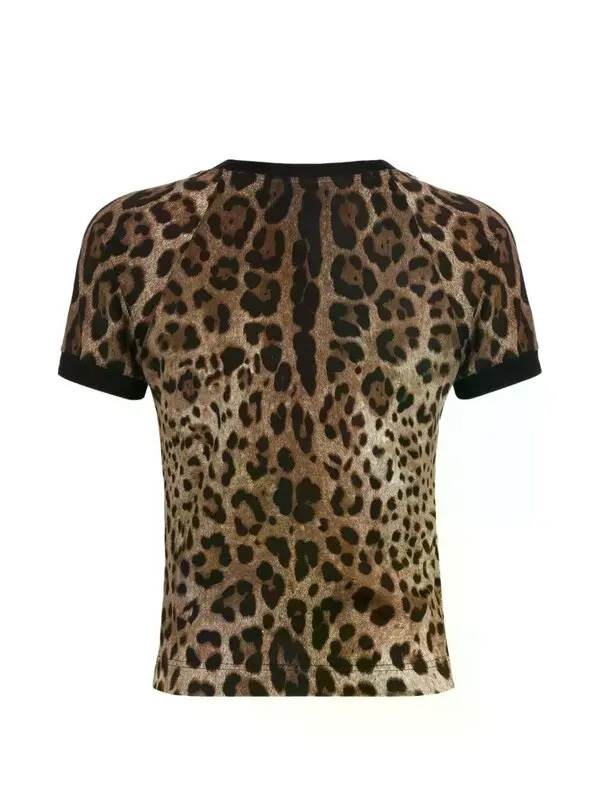 Dolce & Gabbana Leo-print Jersey T-shirt