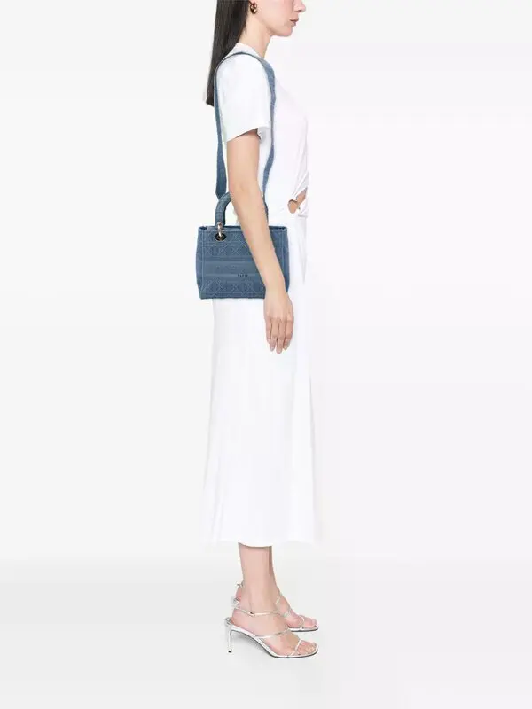 Dior 2020 Medium Canvas Cannage Lady D Lite Satchel