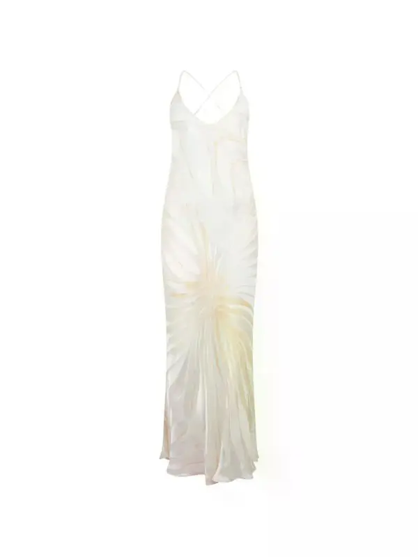 Roberto Cavalli Devoré Maxi Dress