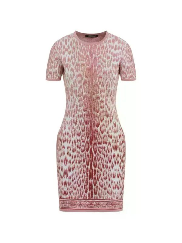 Roberto Cavalli Leopard-print Dress