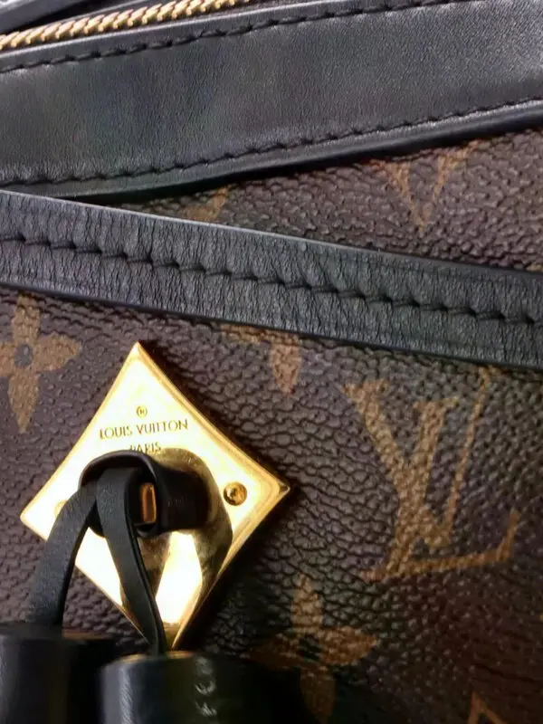 LOUIS VUITTON Monogram Canvas And Leather Crossbody Bag - Black
