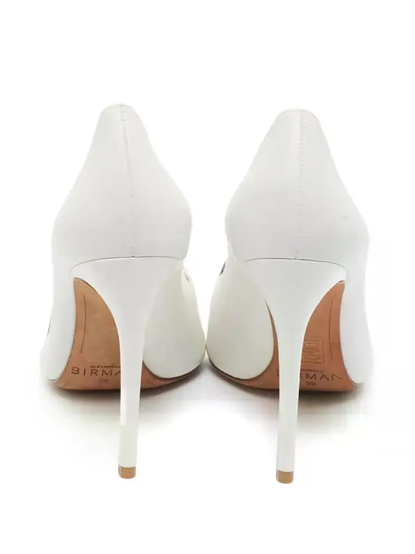 ALEXANDRE BIRMAN Pointed-toe Stiletto Pumps
