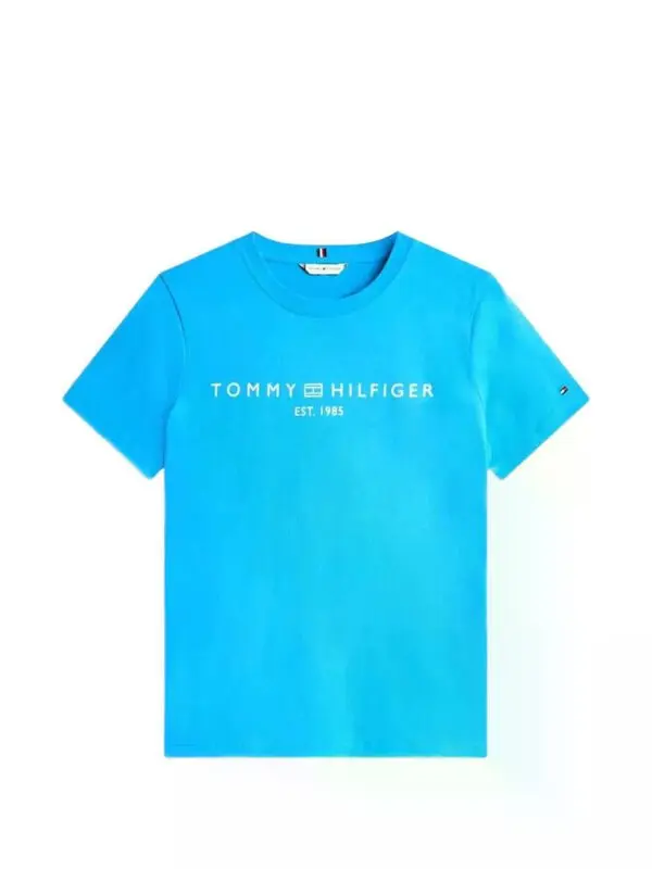Tommy Hilfiger Logo Print Cotton T-shirt - Blue