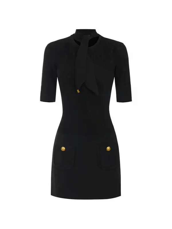 Elisabetta Franchi Ribbed Knit Tie-neck Dress With Button Details