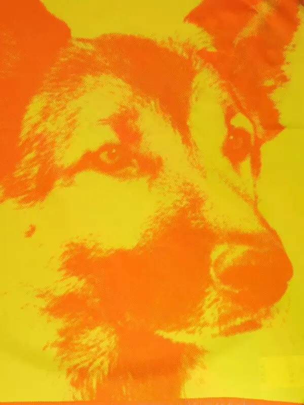 JIL SANDER Logo-print Fringed Scarf