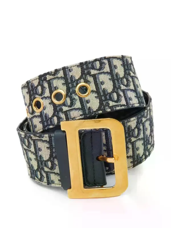 Dior Diorquake Oblique Belt - Neutrals