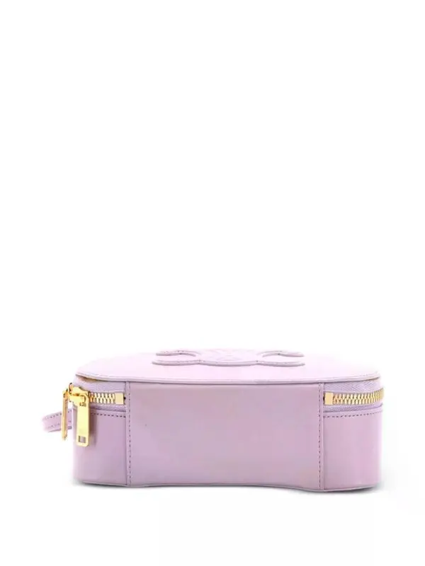 Celine Half Moon Case Leather Small Crossbody Bag - Purple