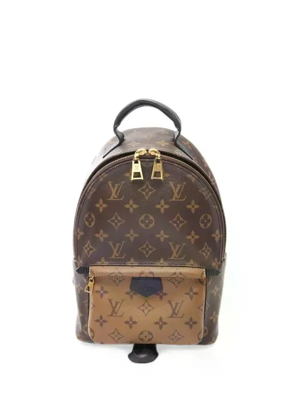 LOUIS VUITTON 2020 Monogram Palm Springs Backpack