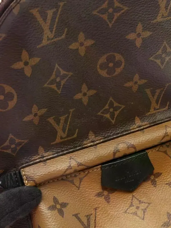 LOUIS VUITTON 2020 Monogram Palm Springs Backpack