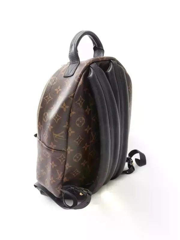 LOUIS VUITTON Palm Springs Backpack - Brown