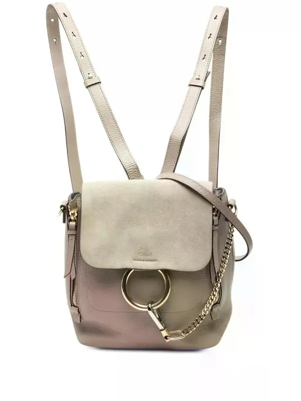 Chloé 2018 Small Calfskin And Suede Faye Backpack