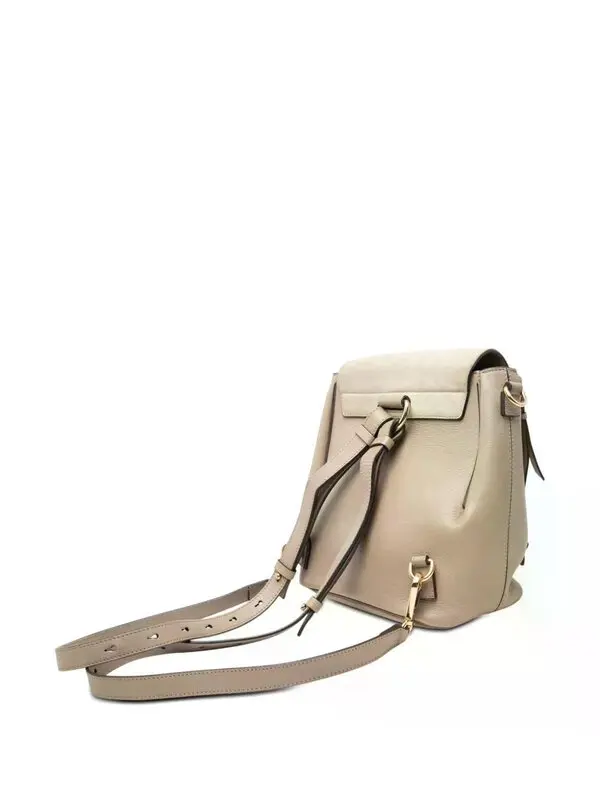 Chloé 2018 Small Calfskin And Suede Faye Backpack