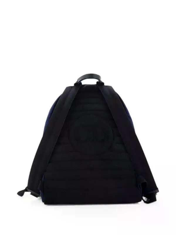 Dior Kaws Bee Rider Nylon With Applique Large Backpack