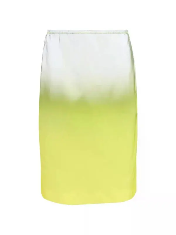 Alexander Wang Ombré Effect Midi Skirt