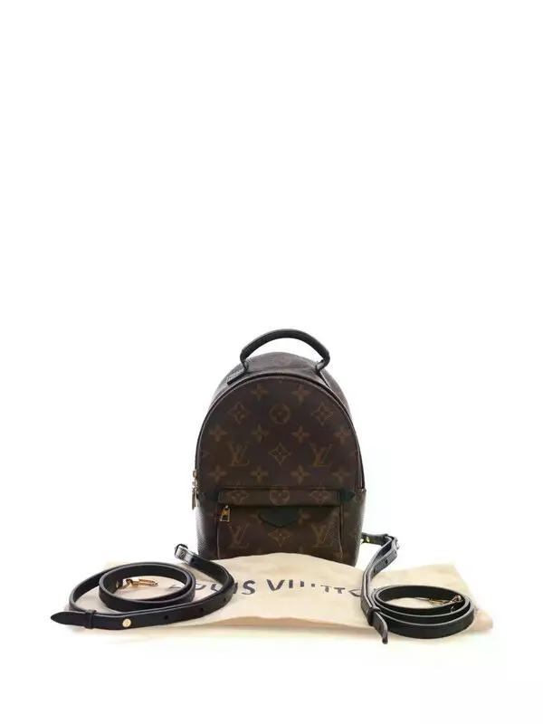 LOUIS VUITTON 2020 Monogram Mini Palm Springs Backpack - Brown