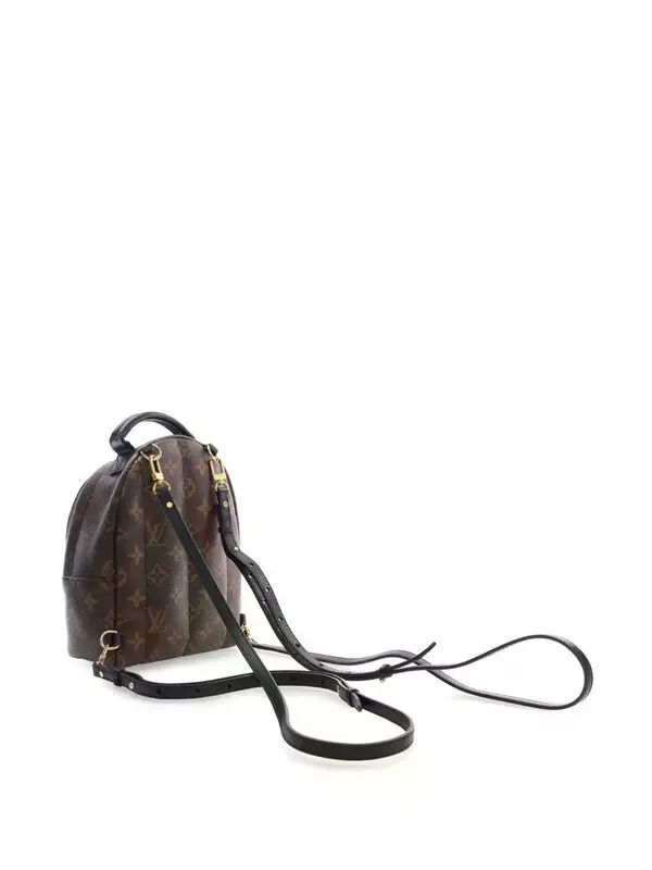 LOUIS VUITTON 2020 Monogram Mini Palm Springs Backpack - Brown