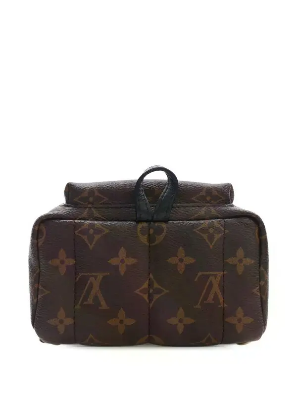 LOUIS VUITTON 2020 Monogram Mini Palm Springs Backpack - Brown