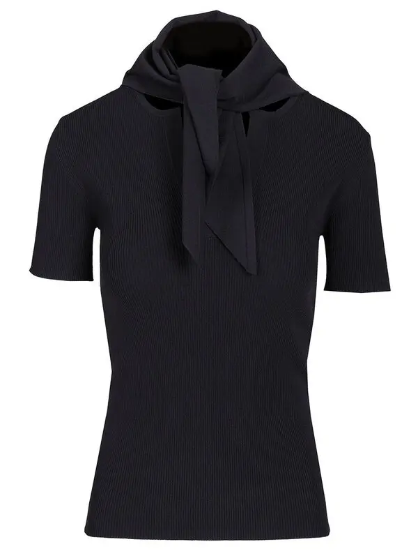 Max Mara Sweater With Scarf