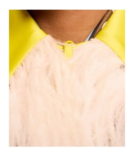 La DoubleJ La Scala Feather-trim Shirt Collar