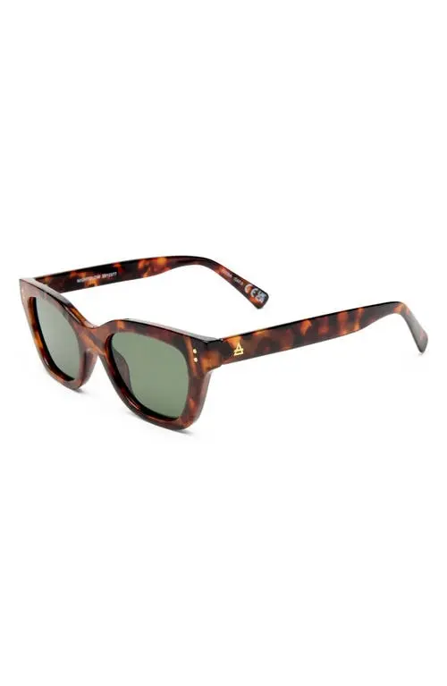 AIRE Nightglow Cat Eye Sunglasses - Dark Tortoise