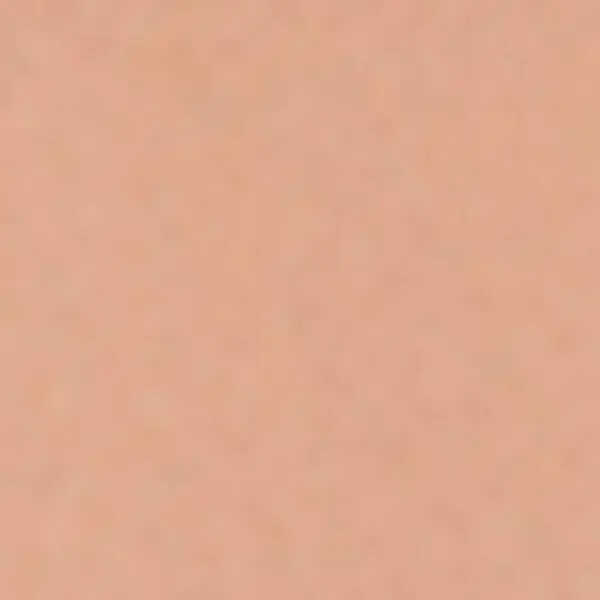 Loewe Delta Sunglasses