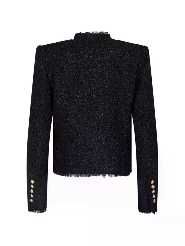 Balmain Gold-tone Lion-head Button Tweed Jacket
