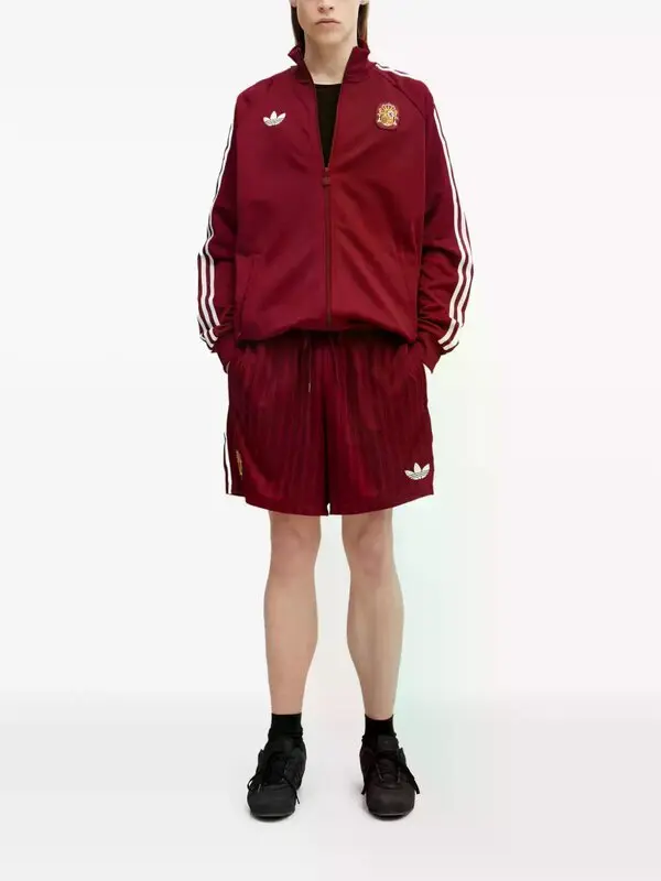 Adidas Originals Burgundy Vertical Stripe Shorts
