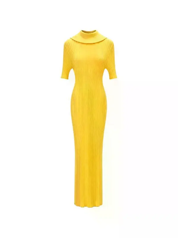 Elisabetta Franchi Ribbed Knit Roll-neck Midi Dress