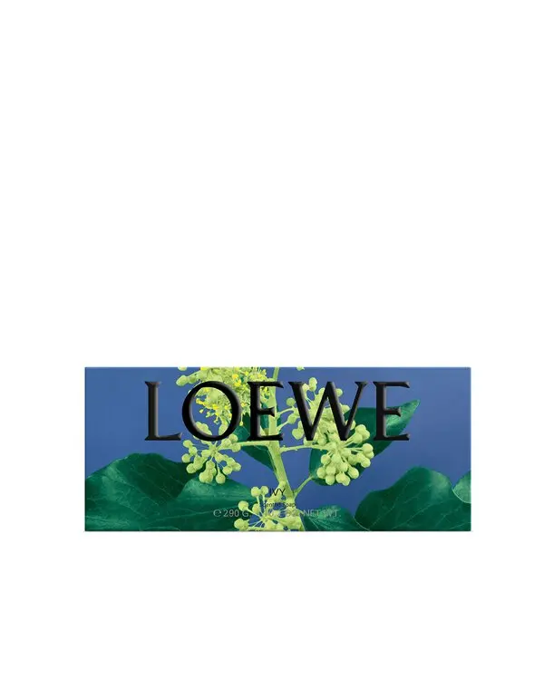 LOEWE PERFUMES Ivy Solid Scented Soap 10.2 Oz