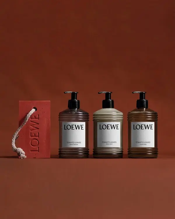 LOEWE PERFUMES Tomato Leaves Body Lotion 12 Oz